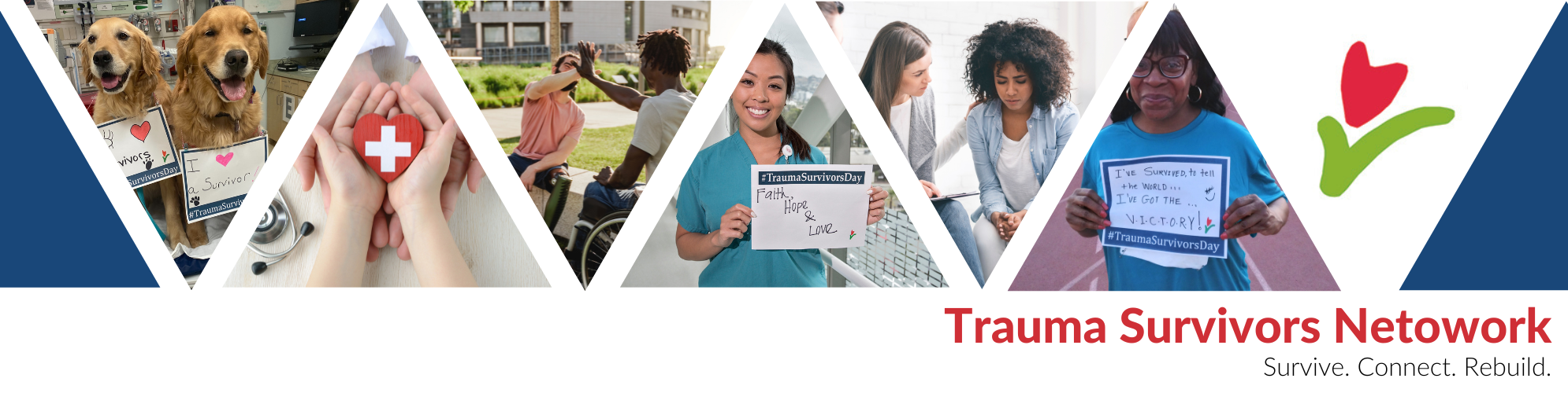 Trauma Survivors Network